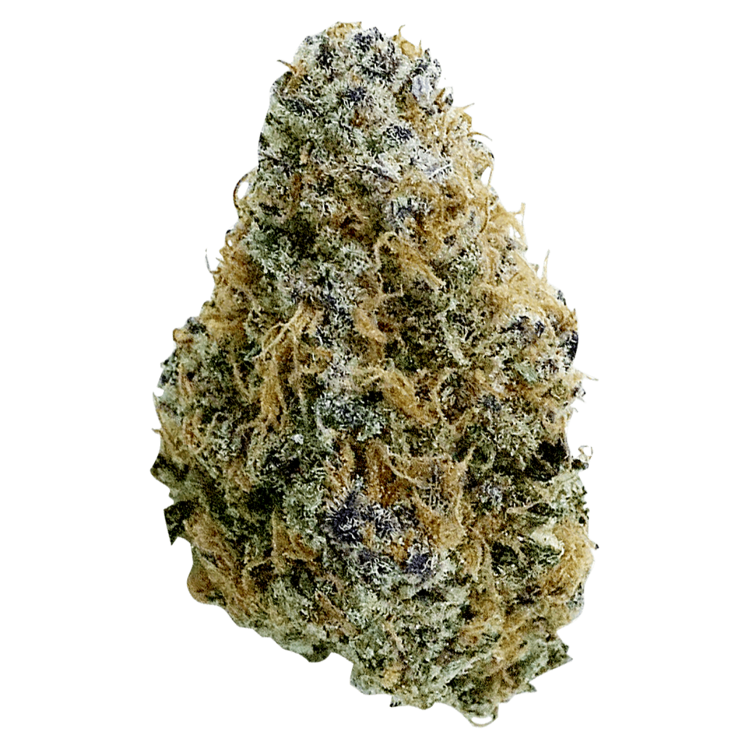 Twisted Banana – Valhalla Flwr